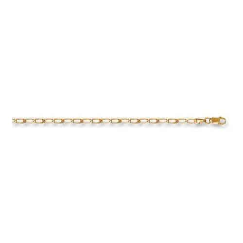 9ct Yellow Gold Rada Chain - Available 18"-24" - Andrews The Jewellers